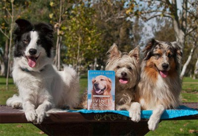 Q&A with Jennifer Skiff, Animal Advocate & Author of "The Divinity of ...